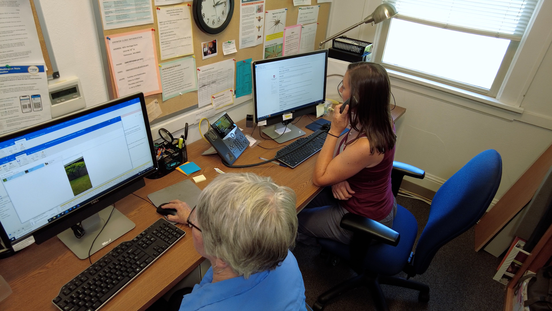 Washington master gardeners today: Nine ways WSU Master Gardeners make ... Washington master gardeners today: Nine ways WSU Master Gardeners make ...