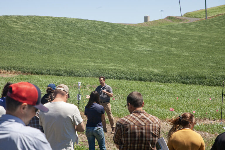 Department of Crop and Soil Sciences | Washington State University