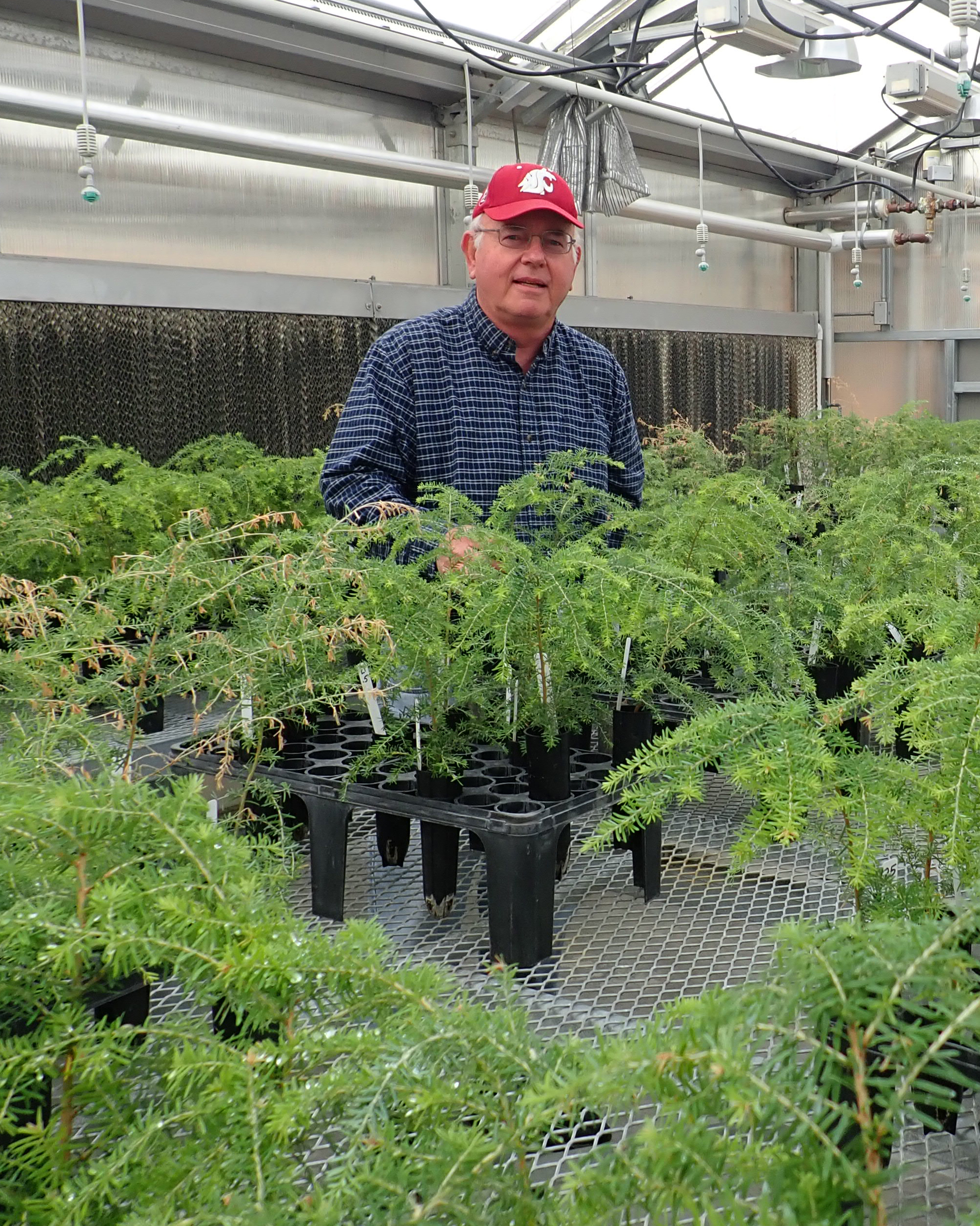 Donors appreciate legacy supporting Christmas trees and cut flowers ...