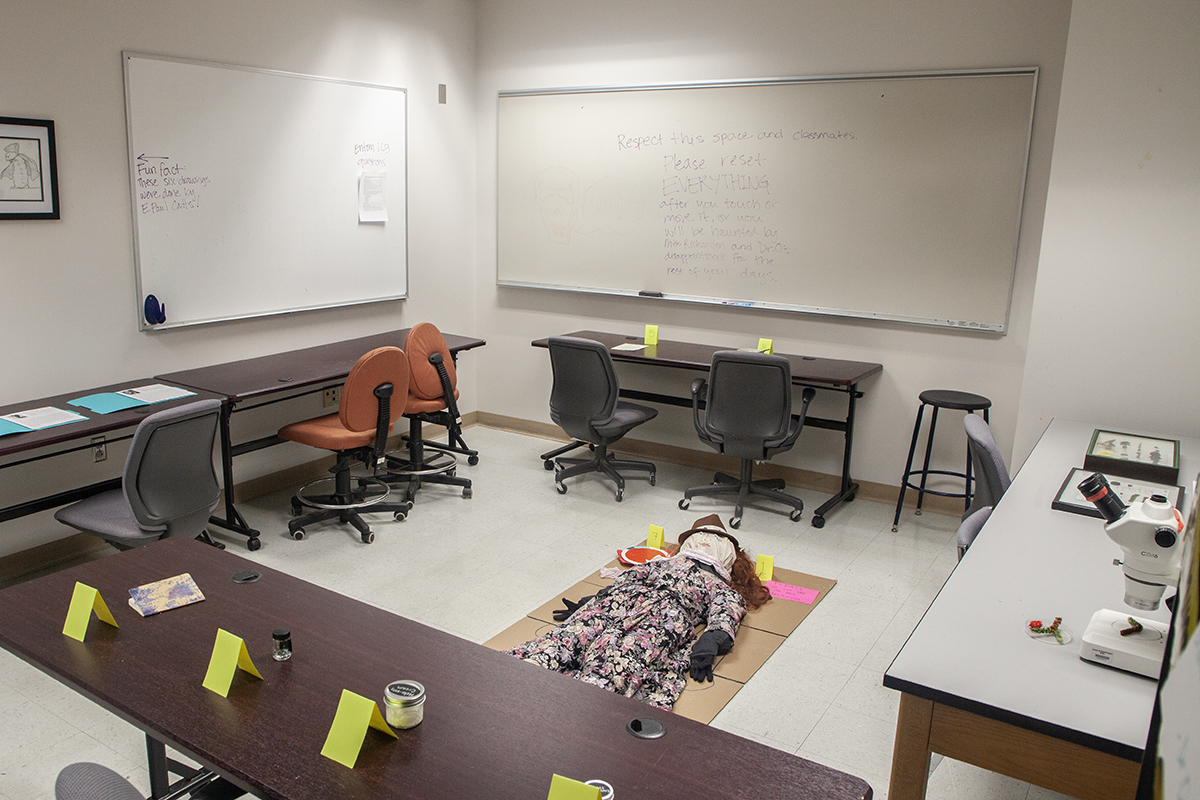 Students solve a ‘murder’ in Entomology 103, and you can too | CAHNRS ...