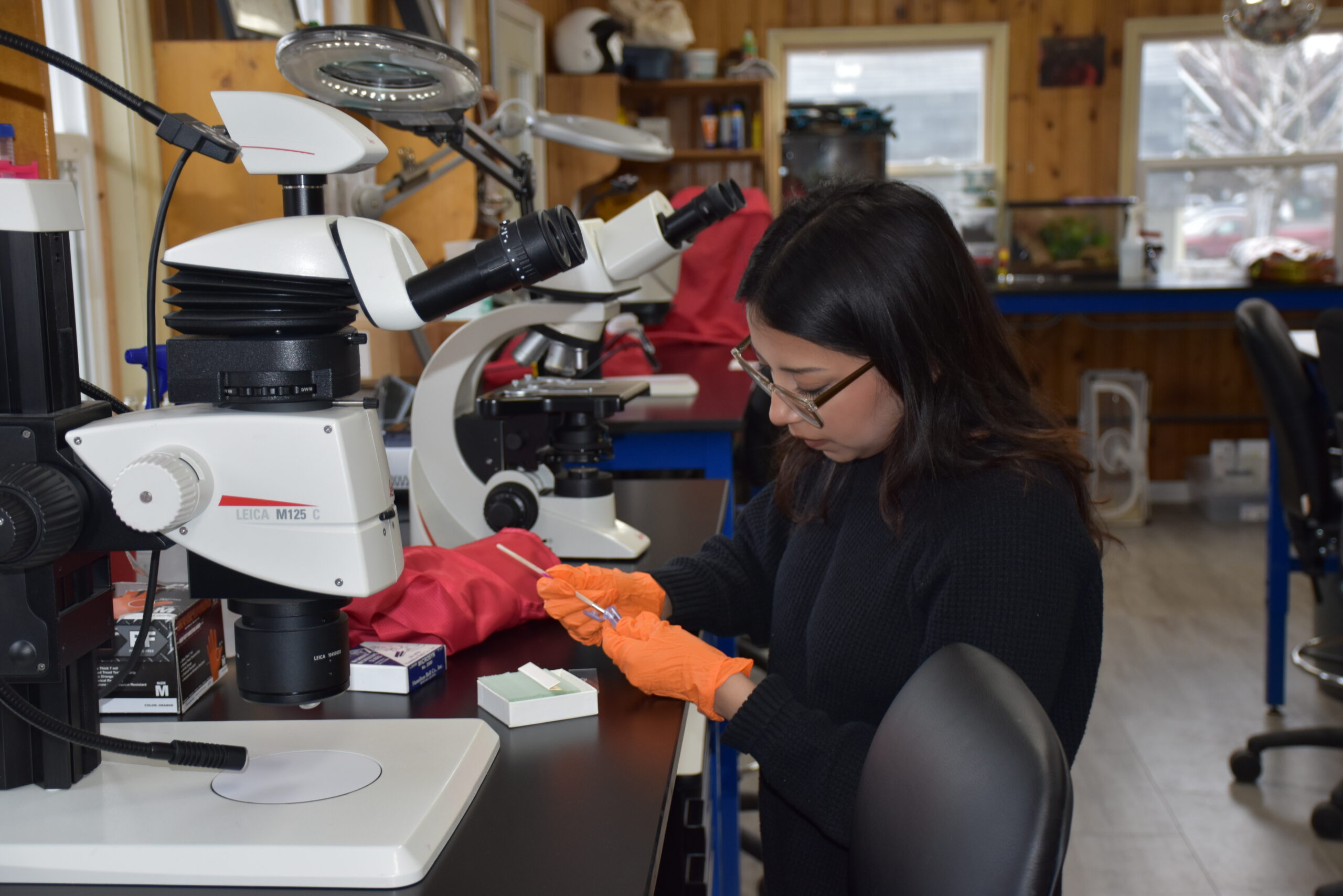 Department of Horticulture | Washington State University