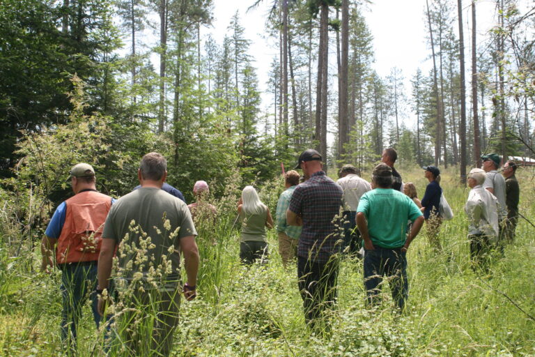 WSU Extension | Washington State University