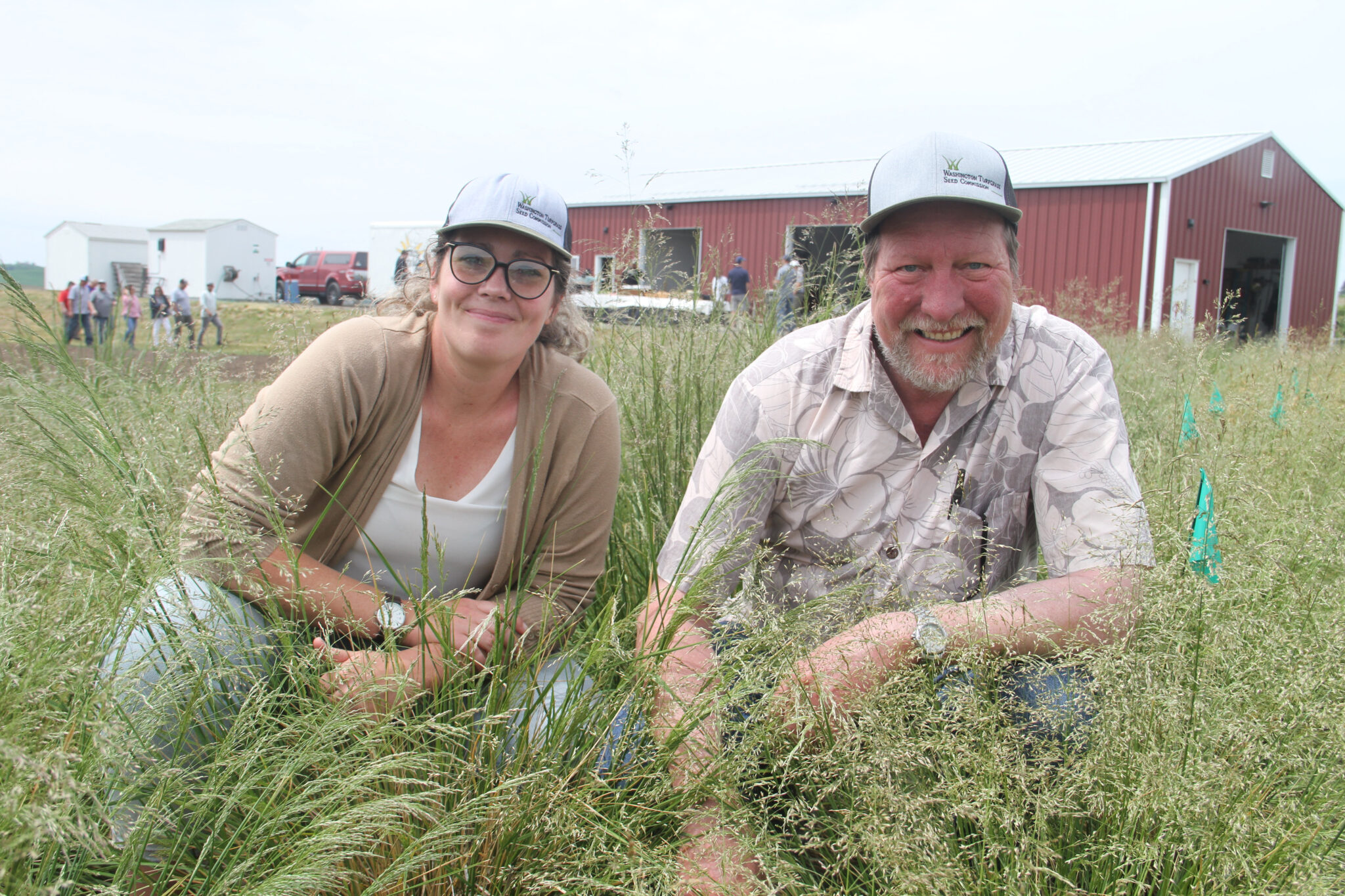 Heavy duty grasses could replace artificial turf on athletic fields ...