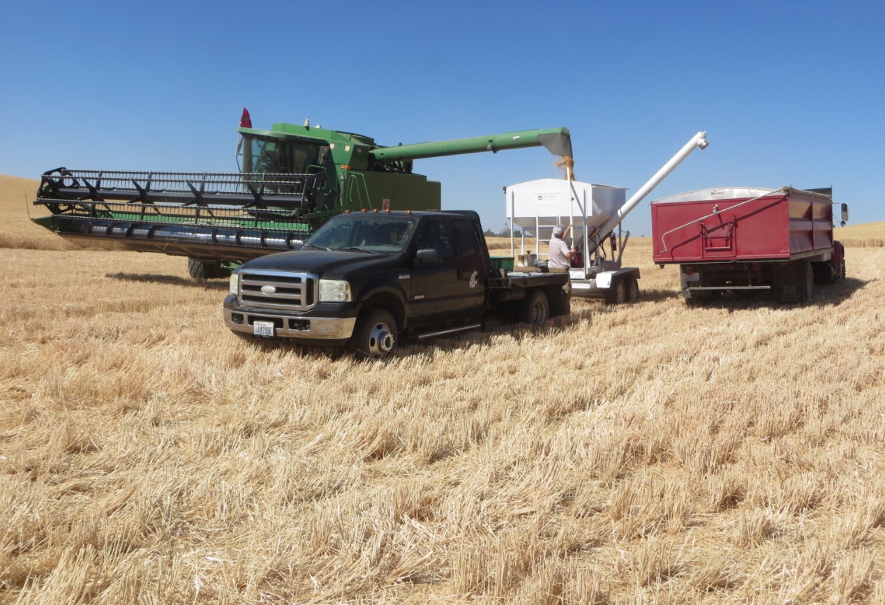 Crops | WSU Extension | Washington State University