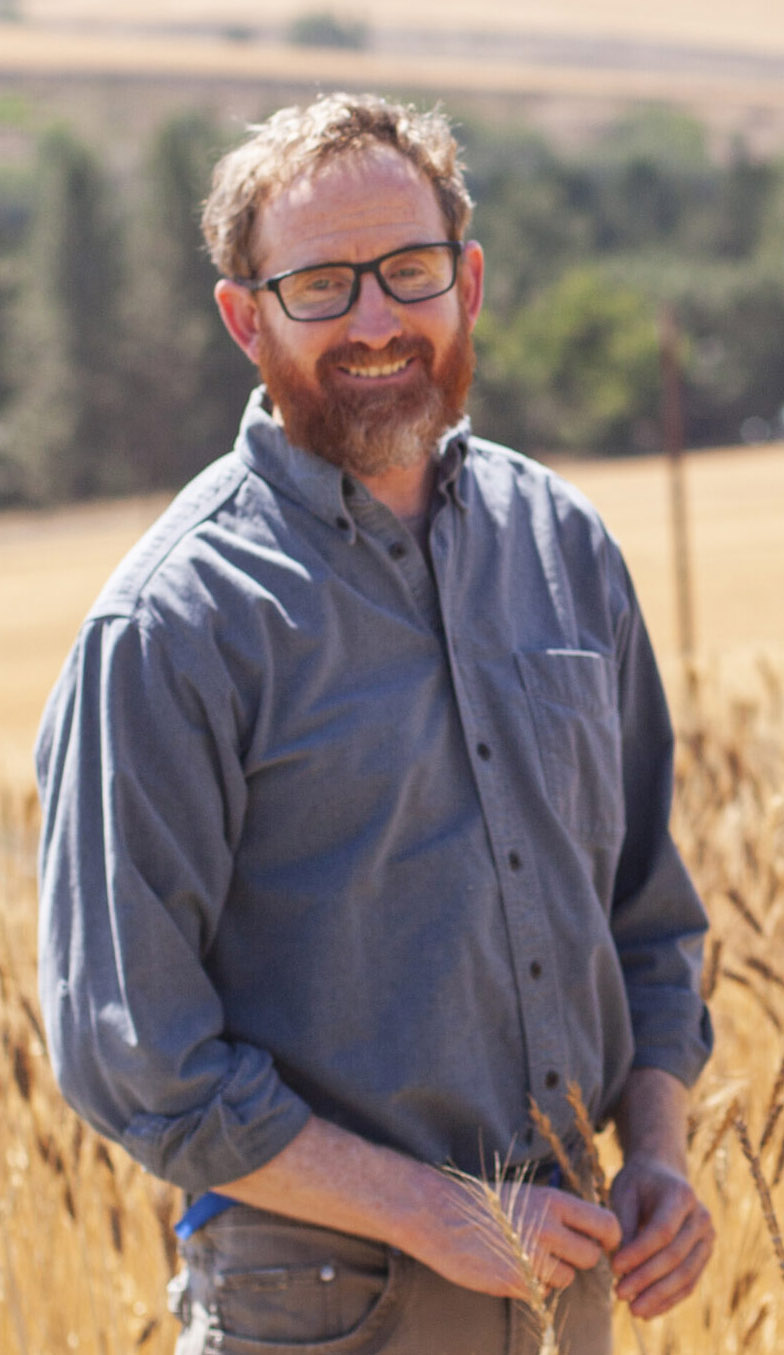 WSU’s first buckwheat variety named for inspiring Olympic Peninsula ...