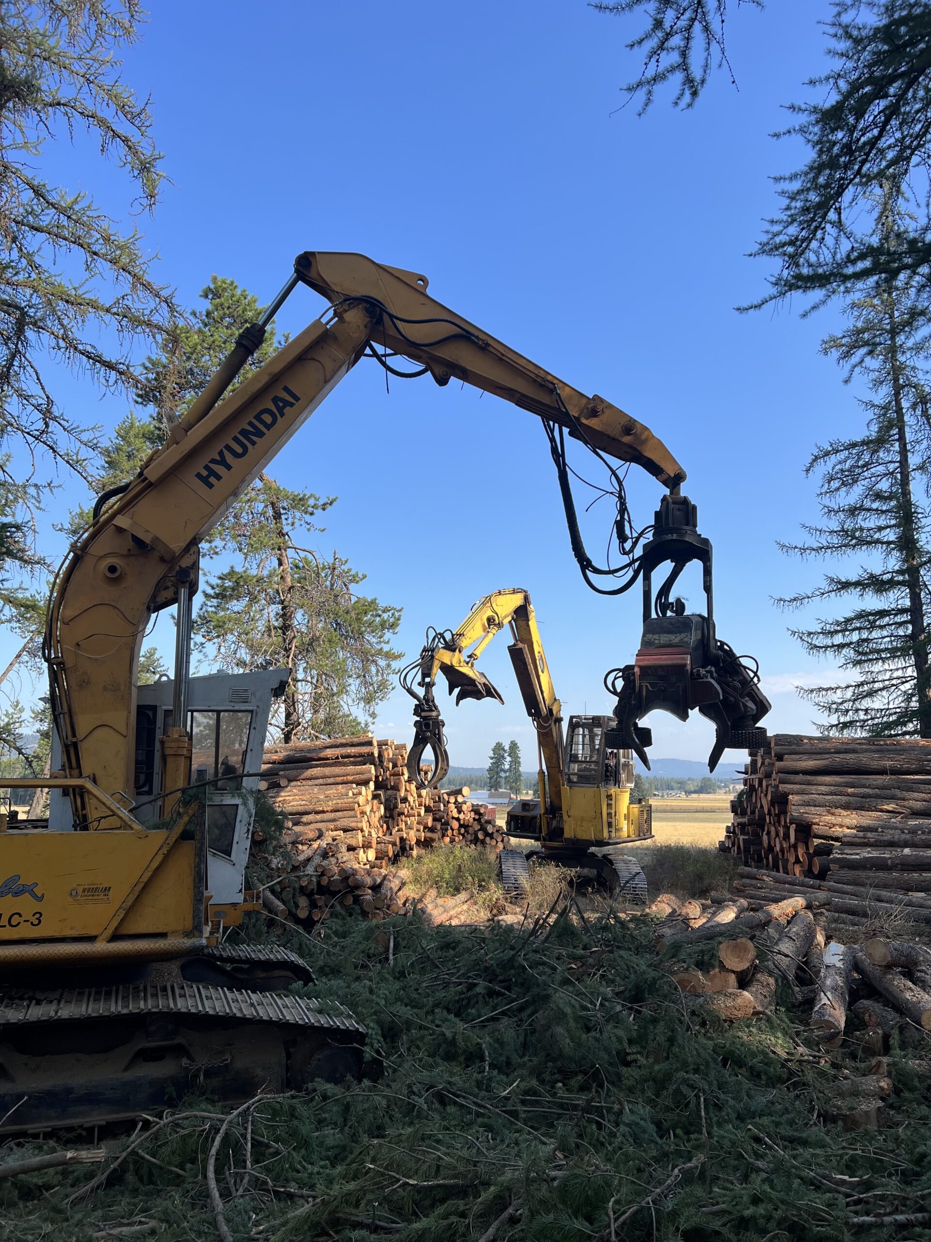 WSU Extension’s 36th annual Loggers Workshop coming soon | CAHNRS News ...