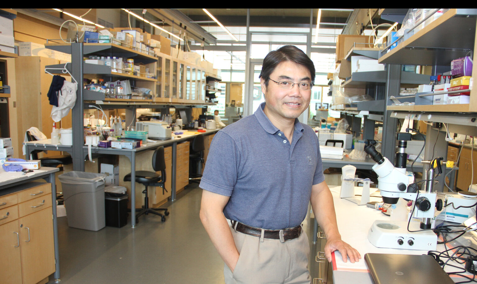 Animal, human health pioneer Min Du named WSU Regents Professor ...