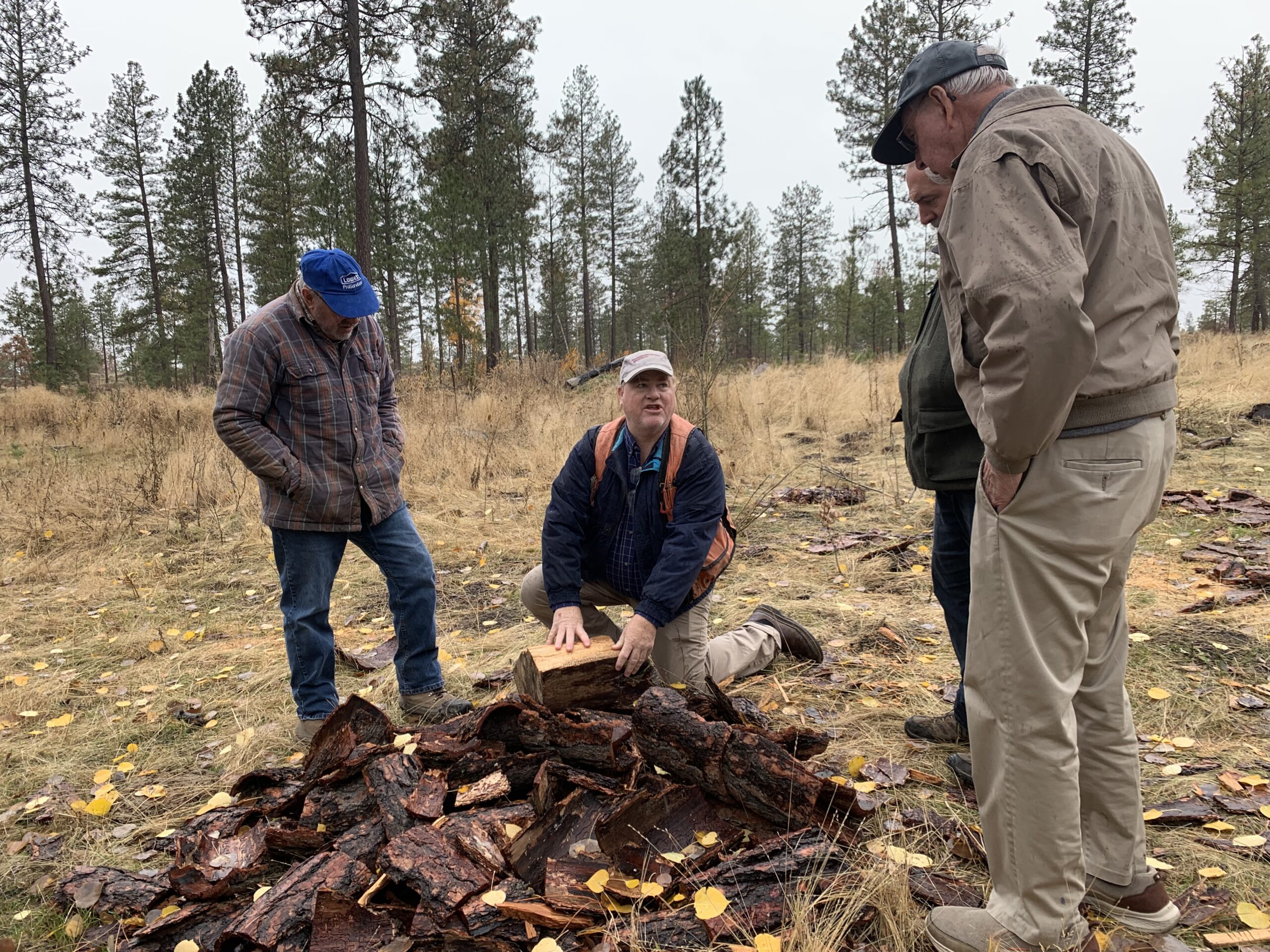 WSU Extension Programs and Topics A-Z | WSU Extension | Washington ...