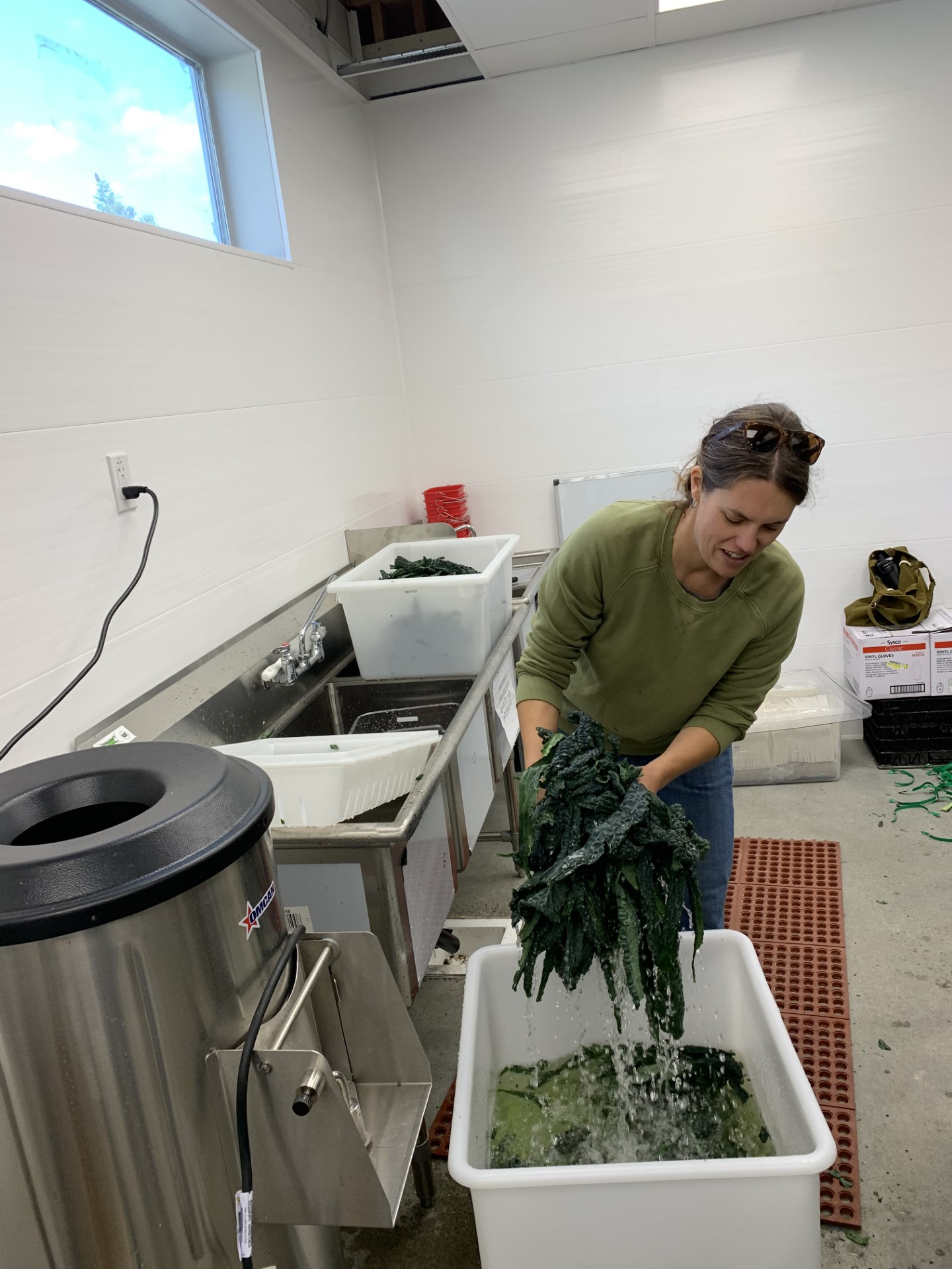 Circular food systems buoy Washington agriculture, reinvigorate local ...