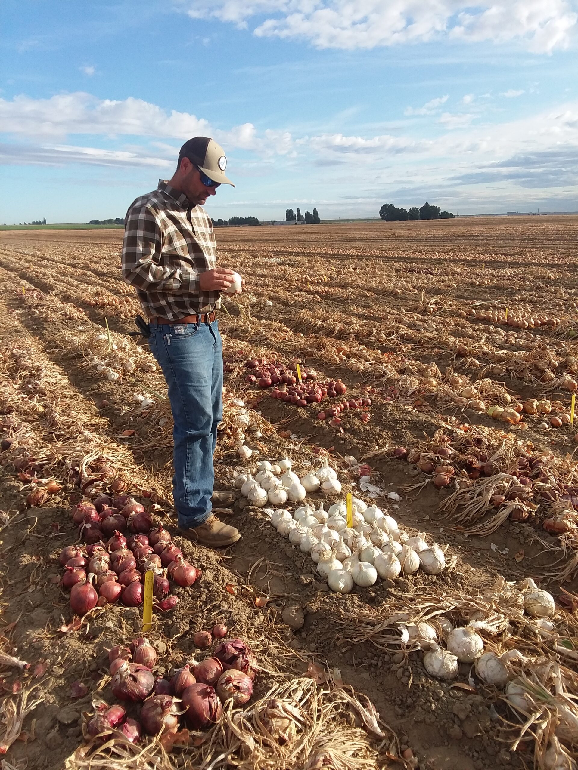 Mid-Columbia Agriculture Hall of Fame inducts WSU Extension educator ...