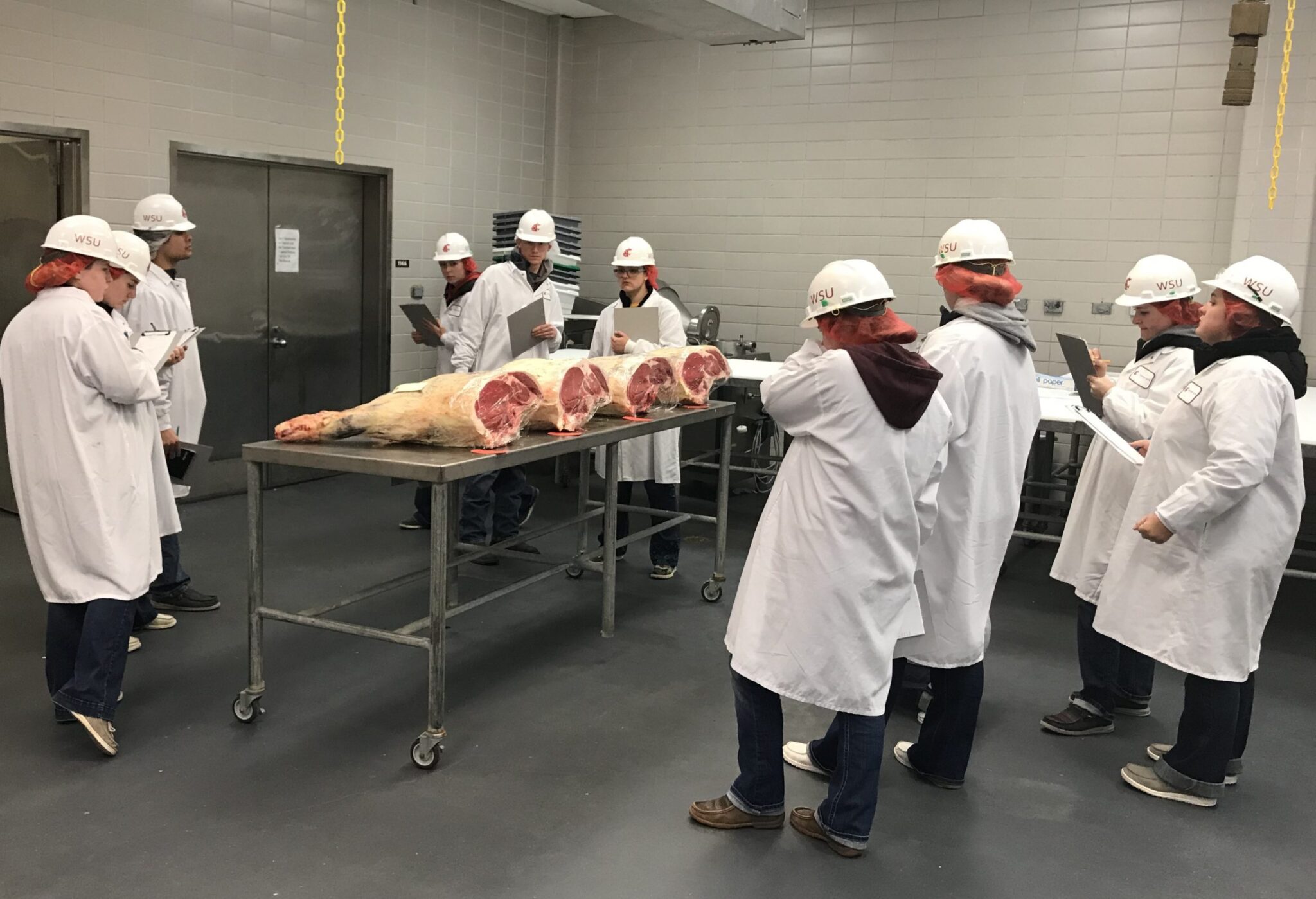 Judging meat provides students with new skills | CAHNRS News ...