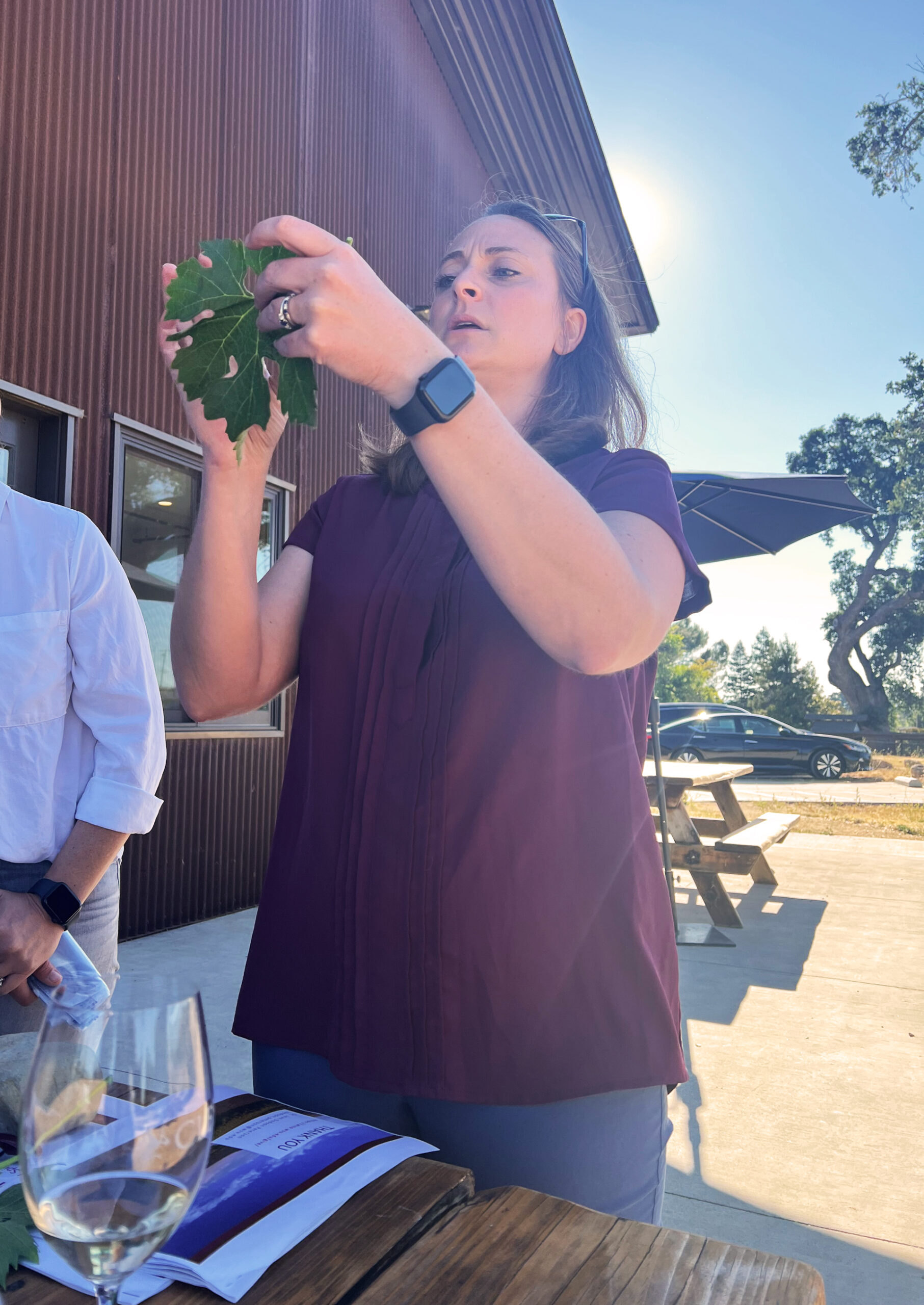 WSU V&E department chair invited to speak at Women of Wine and Spirits ...