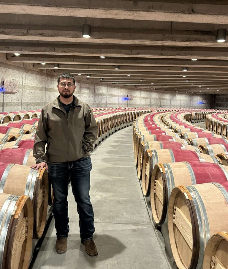 First-gen WSU transfer student looks ahead to bright future in wine ...