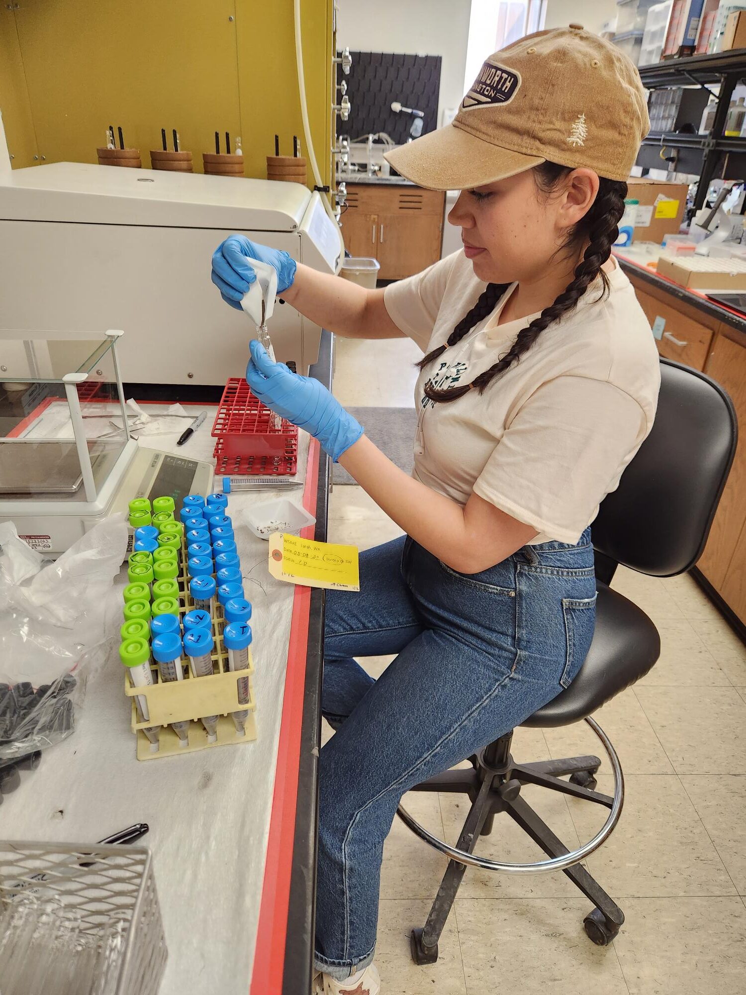 WSU students SOAR with new mentoring program | CAHNRS News | Washington ...