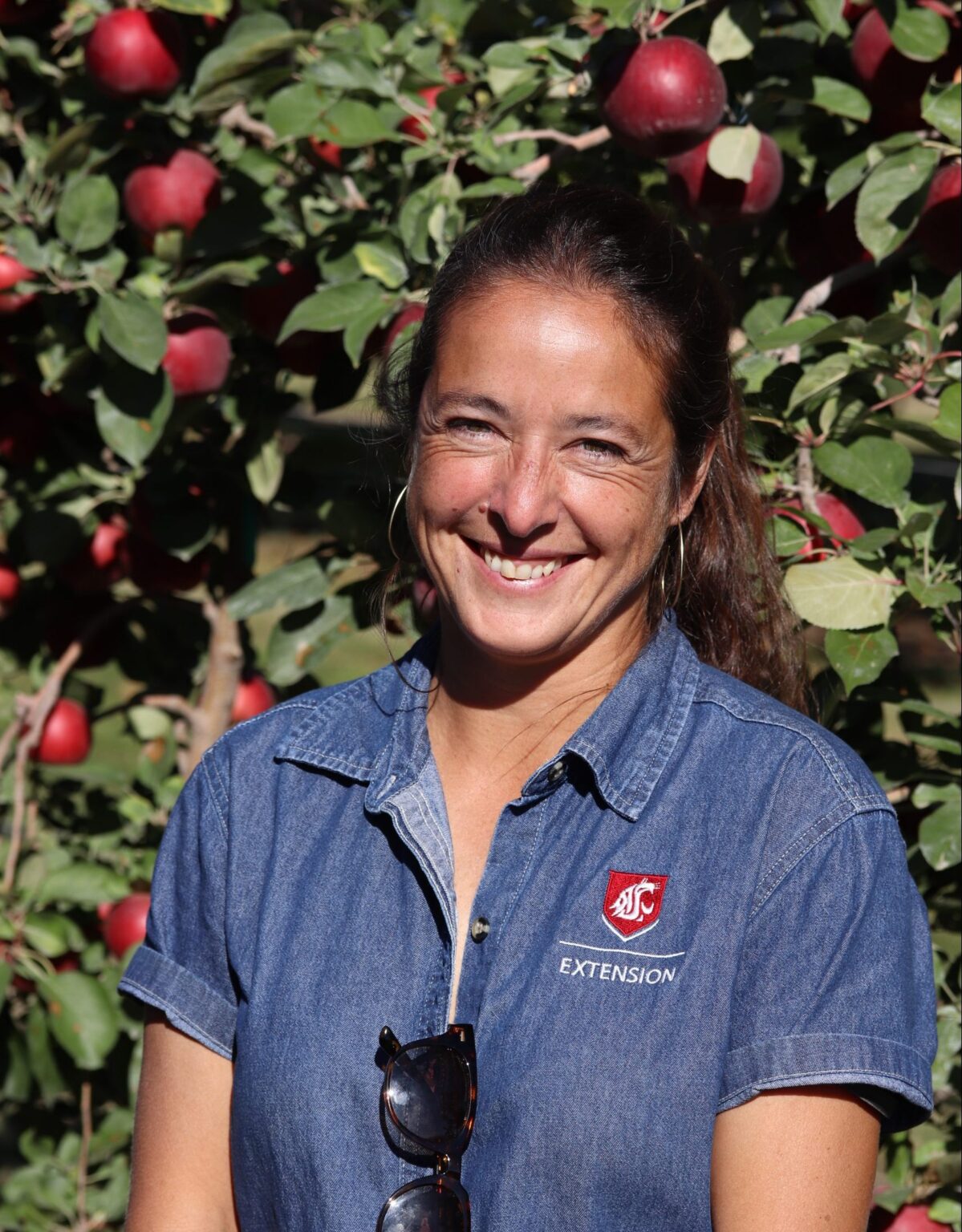 Faculty and Researchers | Prosser IAREC | Washington State University