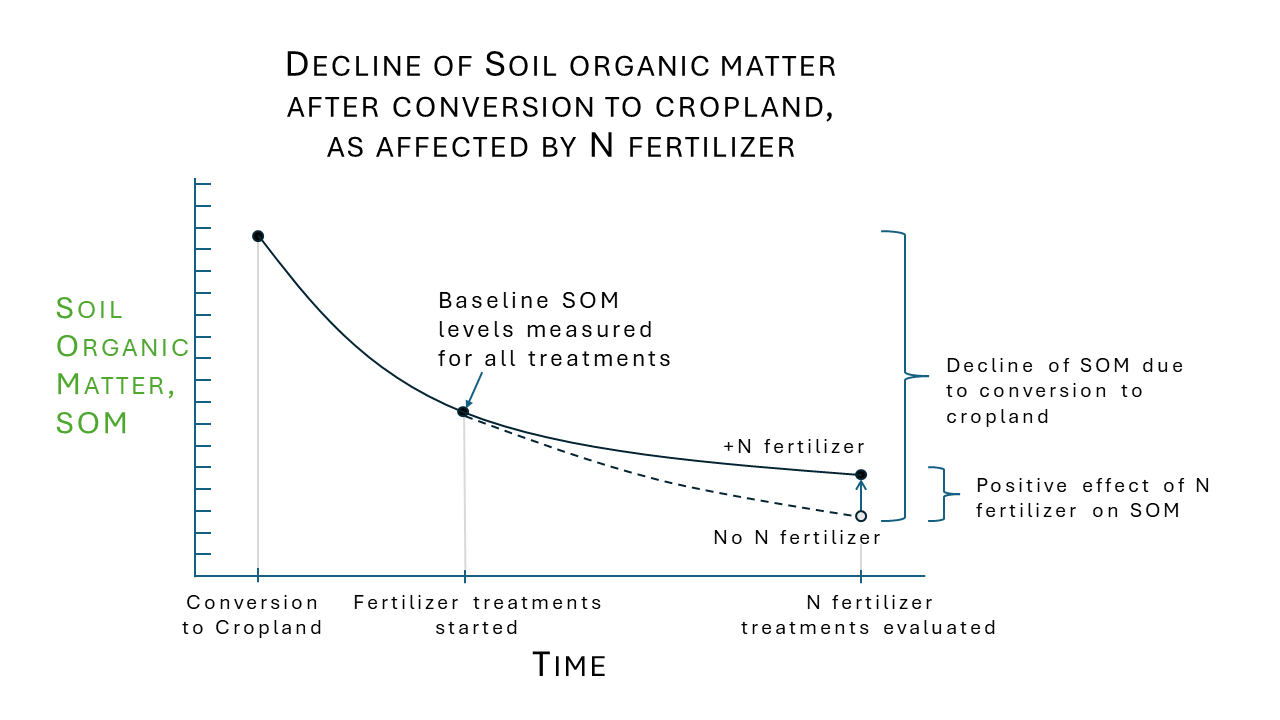 Nitrogen Fertilizer and Soil Organic Matter: What Does the Evidence Say ...