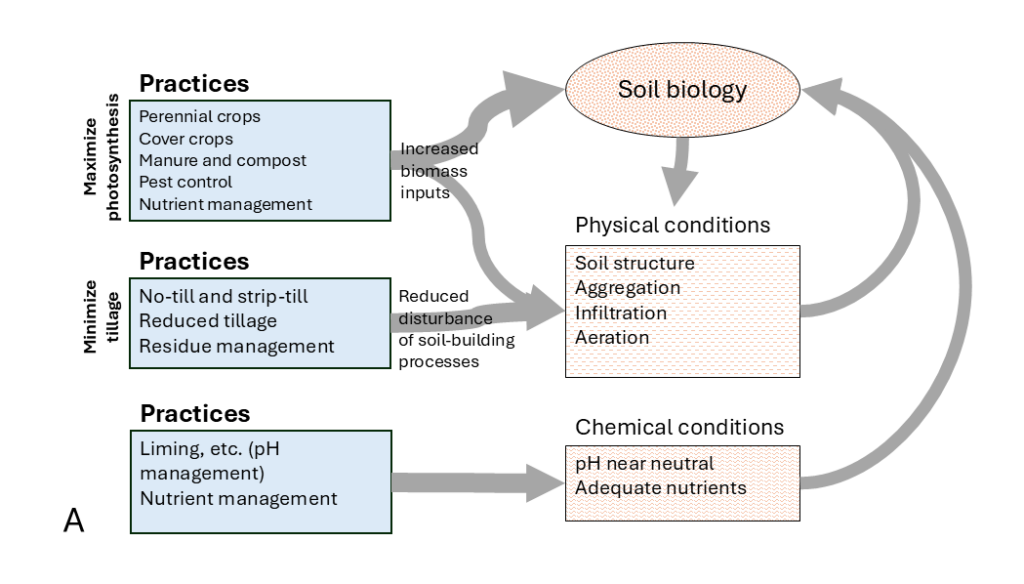 Choose Soil-building Practices Over Soil Health Products | Center for ...
