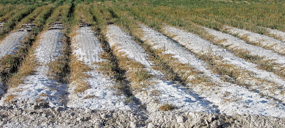 The Columbia Basin Irrigation Project; As Drought-Proof and Sustainable ...