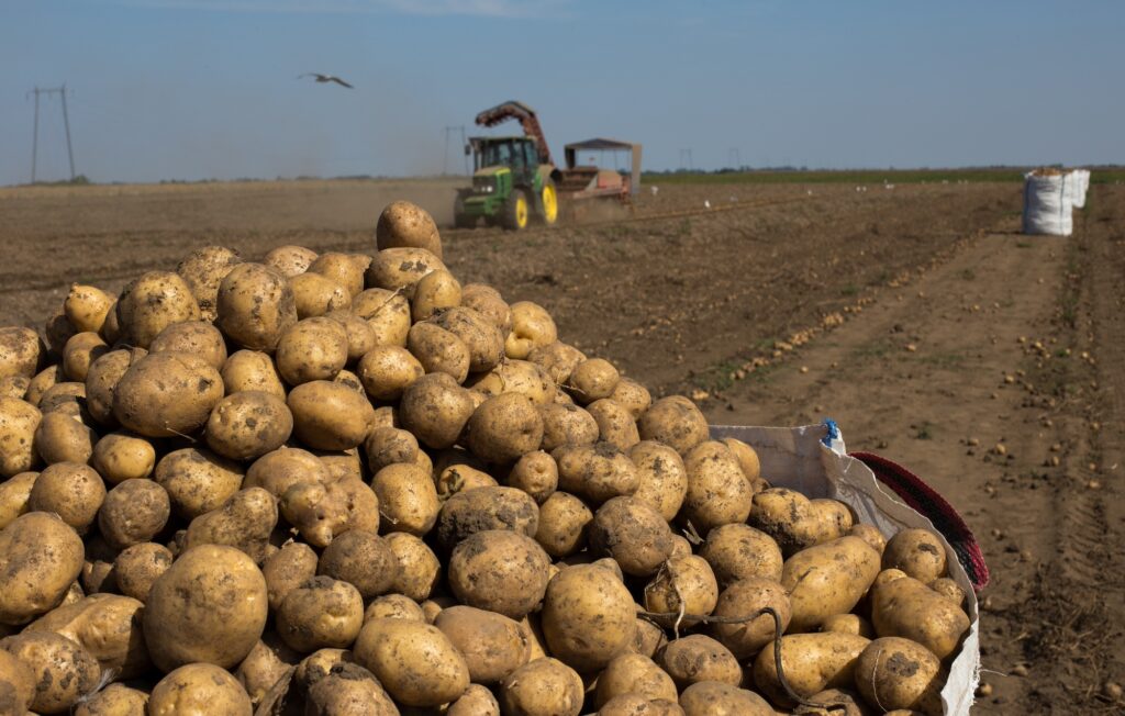 Soil Organic Matter in Natural Ecosystems vs. Cropped Fields: A ...