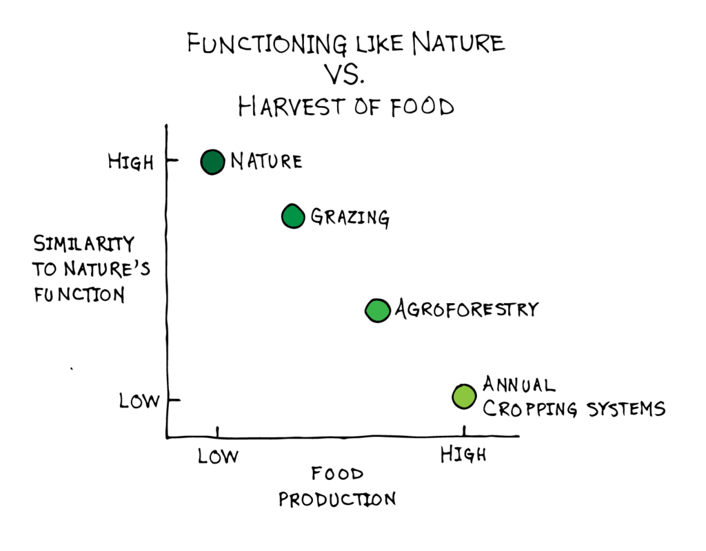 The Flawed Thinking Behind “Mimic Nature” in Crop Production | Center ...