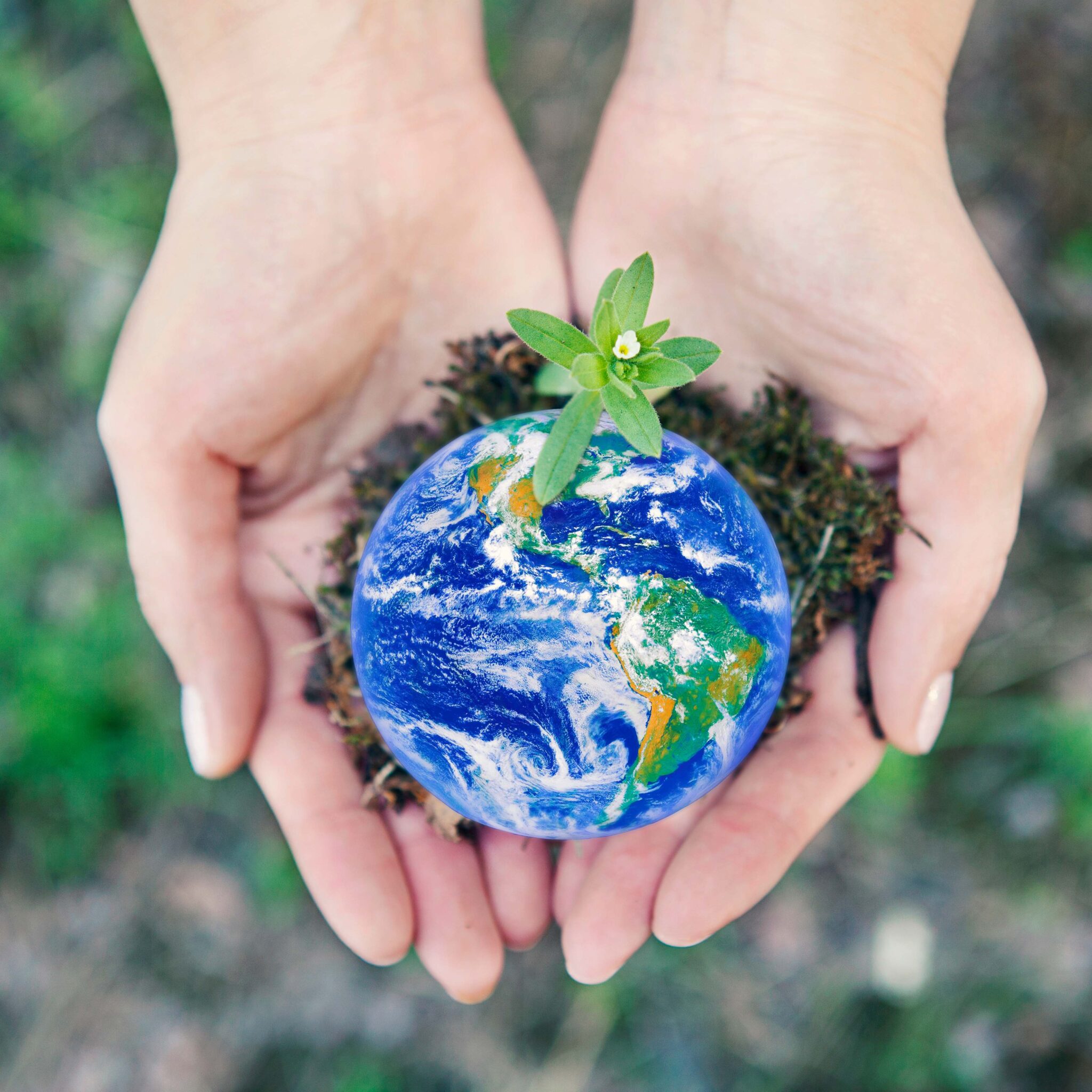 Happy Earth Day! Let’s Dig Into Compost | Center for Sustaining ...