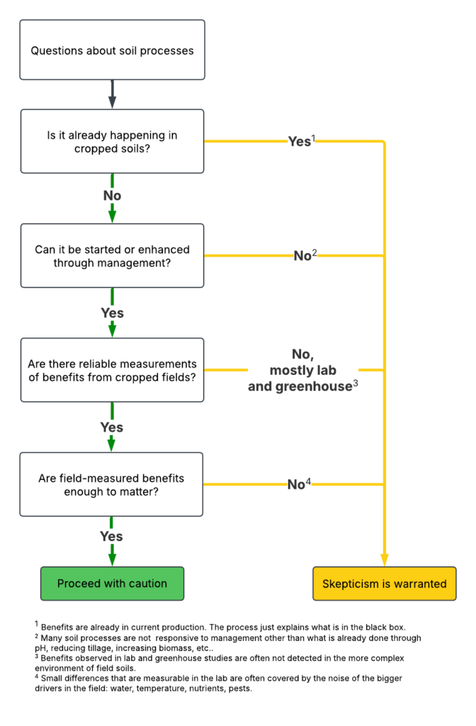 Rhizophagy and Quorum Sensing: Don’t Fall for the Merely Fascinating ...