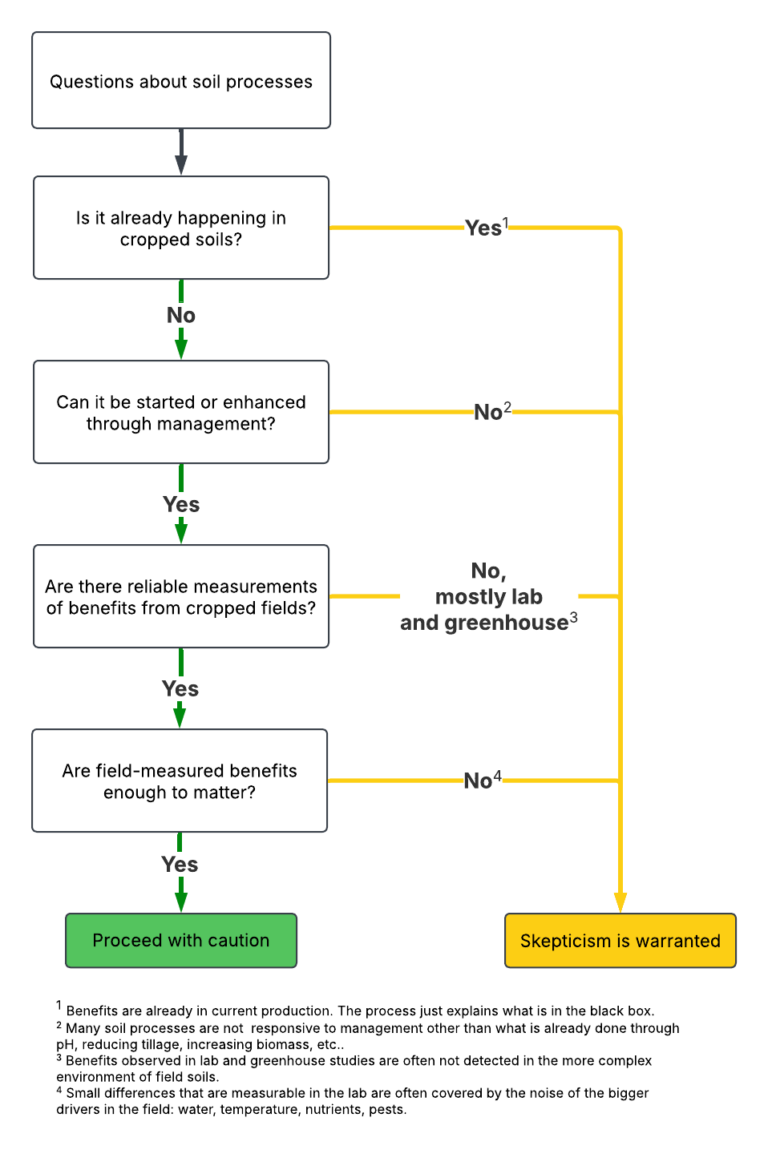 Rhizophagy and Quorum Sensing: Don’t Fall for the Merely Fascinating ...