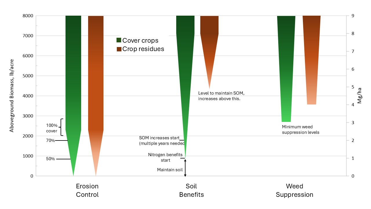 Cash Crops, and their Residues, Are the Best Cover Crops | Center for ...