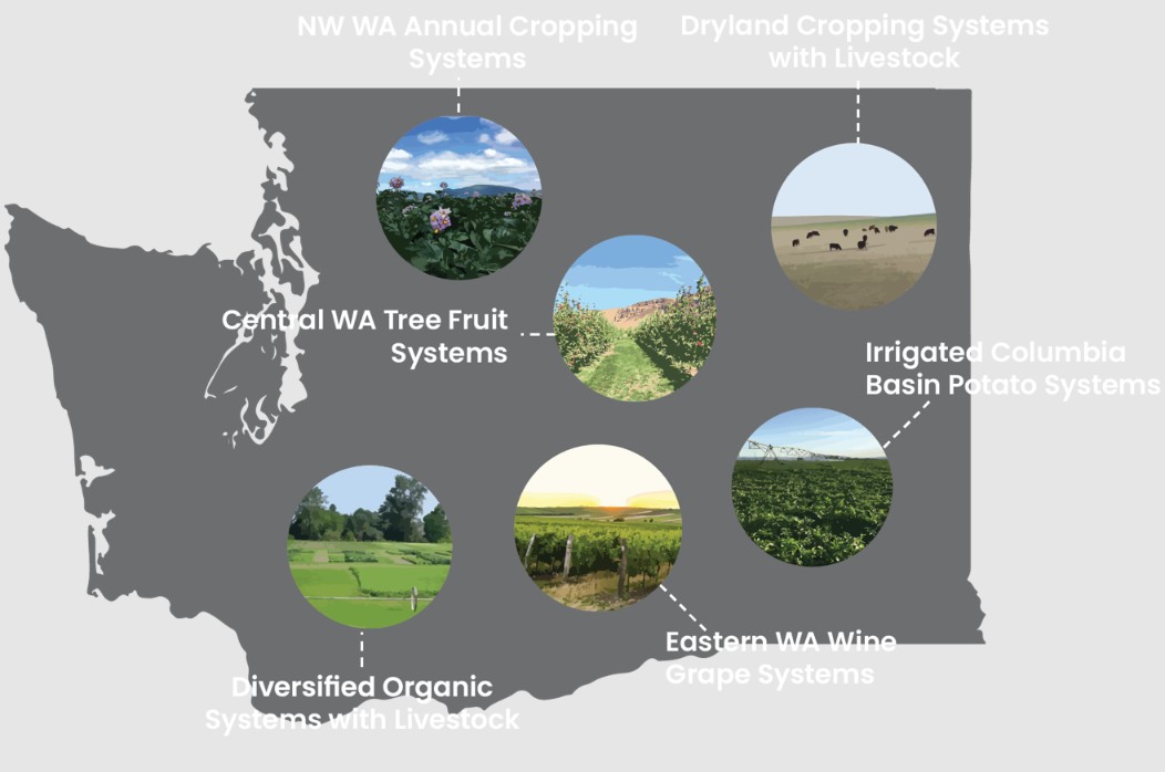 Washington Soil Health Initiative | Center for Sustaining Agriculture ...