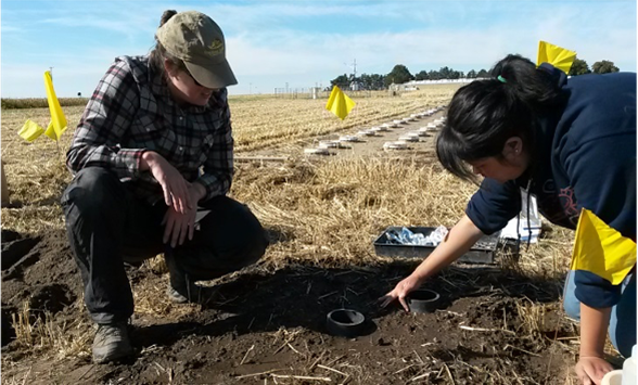 Building Better Biochar Breakthroughs: A Roadmap for Biochar Research ...