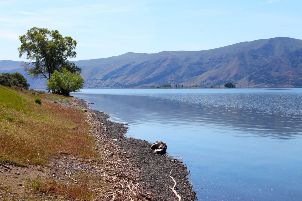 Implications of Shifting Timing in Water Availability in Eastern ...