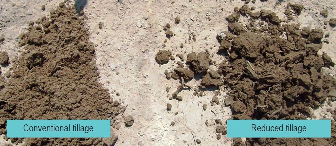 Tillage: When Less Is More | Center for Sustaining Agriculture and ...