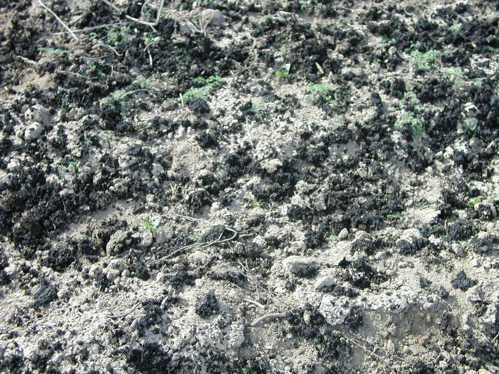 Biosolids – understanding benefits and risks | CSANR | Washington State ...