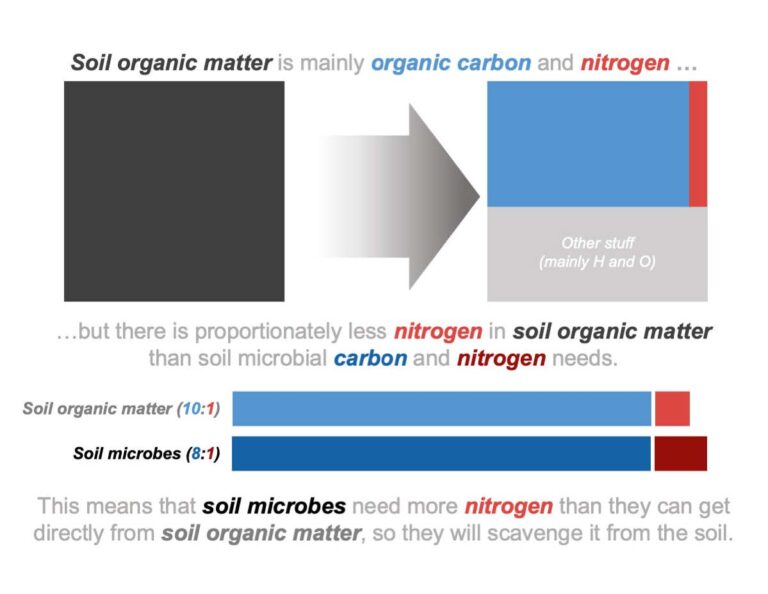 Nitrogen Fertilizer and Soil Organic Matter: What Does the Evidence Say ...