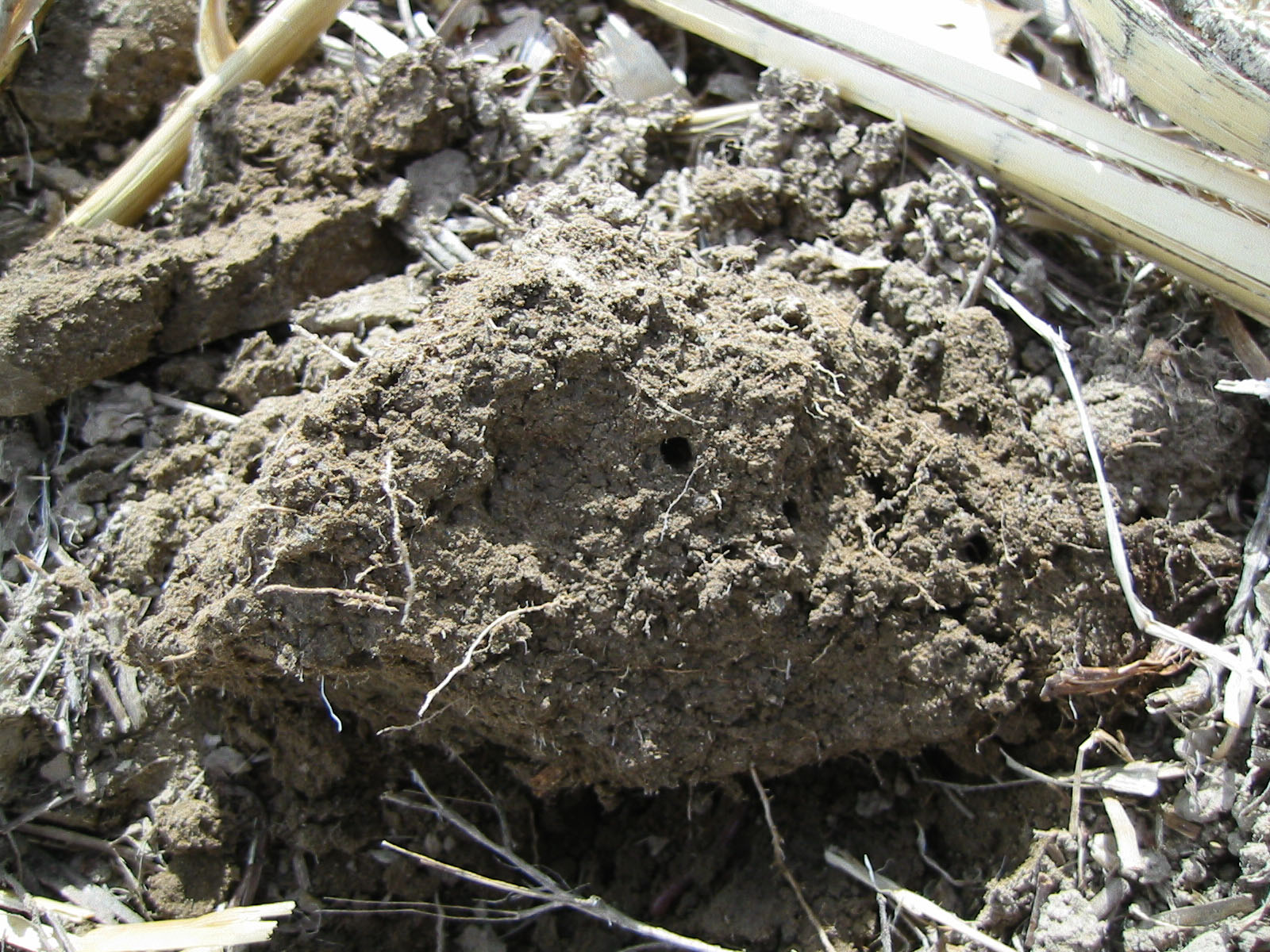 Soil (health) evaluation begins by asking “What’s the problem with my ...