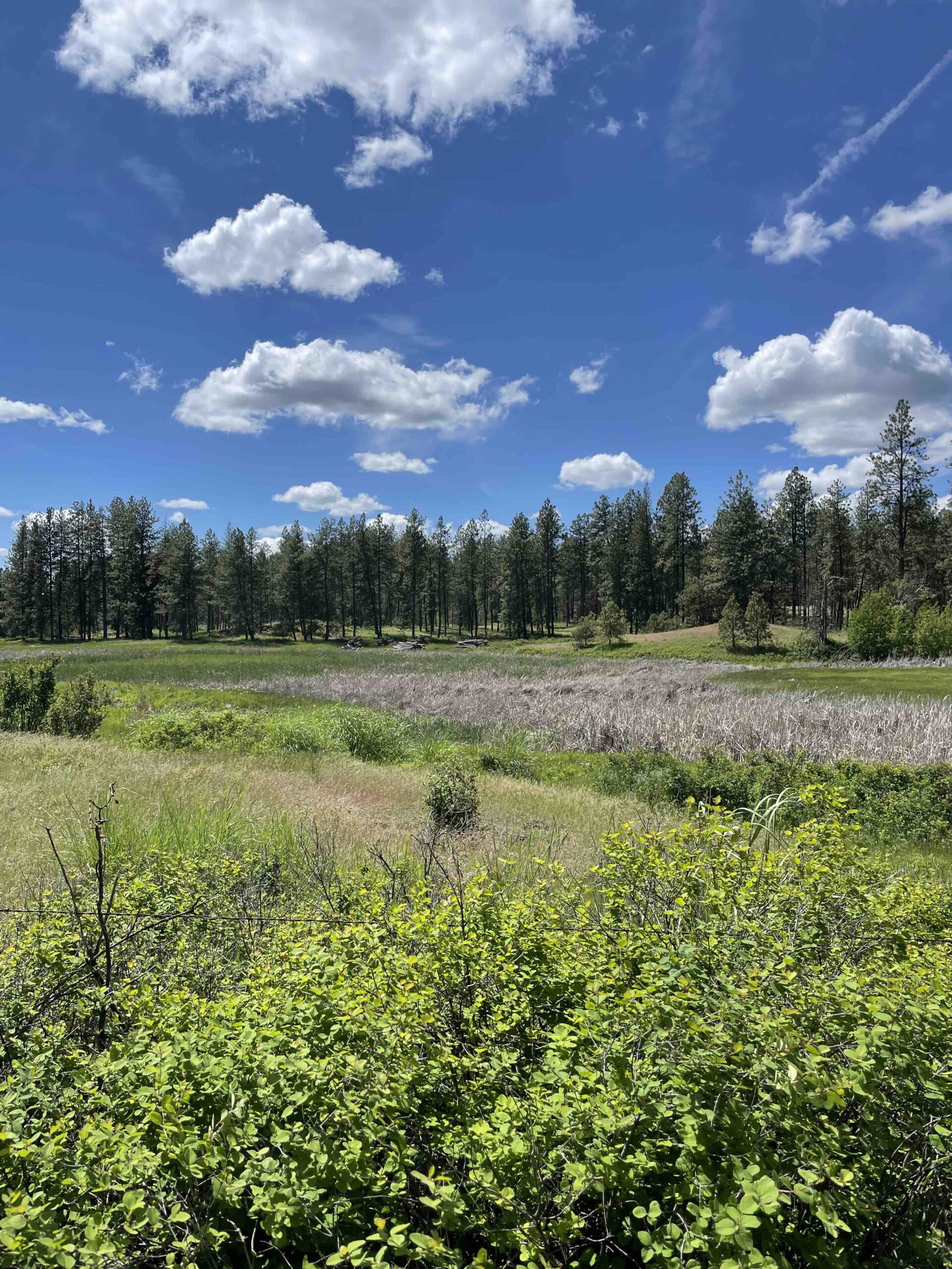 CSANR | Washington State University