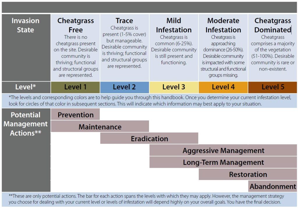 Sagebrush Shrub-steppe or Cheatgrass Prairie? | Center for Sustaining ...