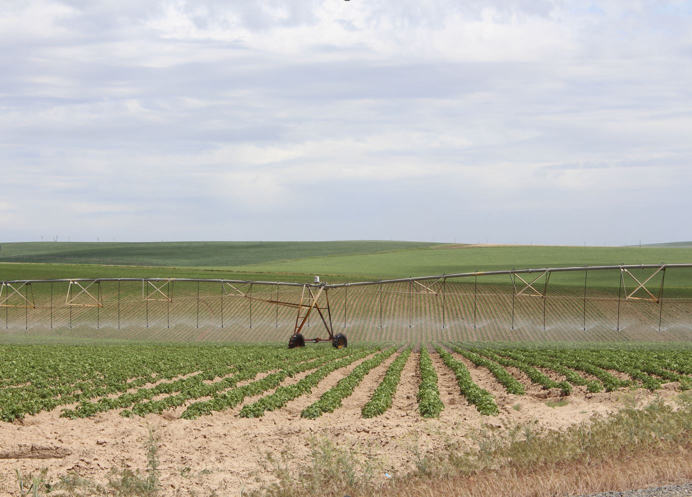 Implications of Shifting Timing in Water Availability in Eastern ...