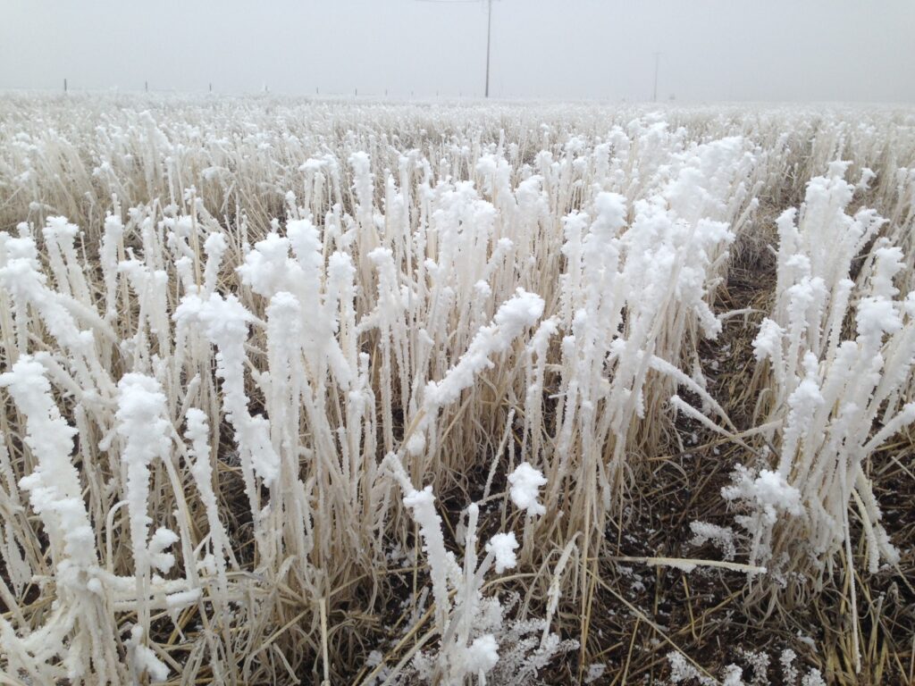 Stripper headers – a new, cool tool for adapting to a changing climate ...
