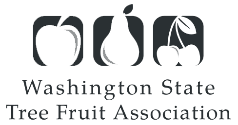 Washington State Tree Fruit Association 2018 Research News Flash ...