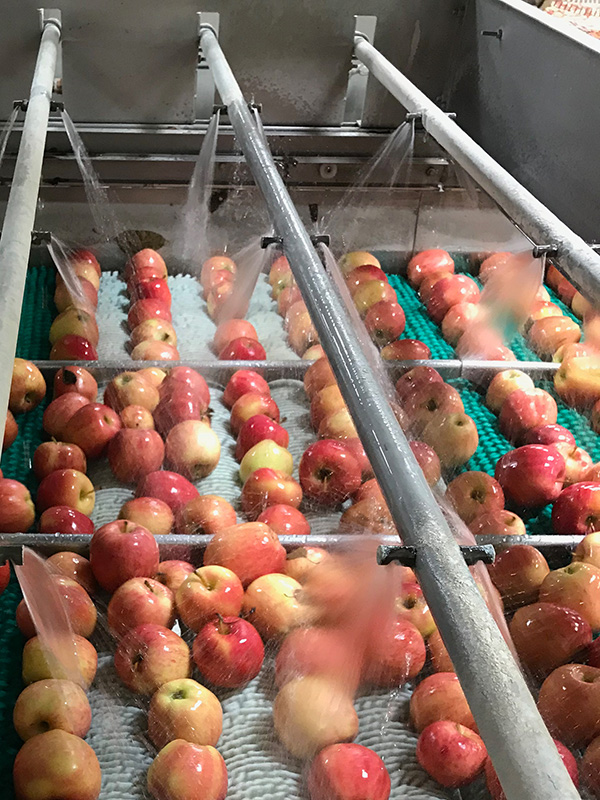 Hazard Analysis and Critical Control Points (HACCP) | Produce Safety ...