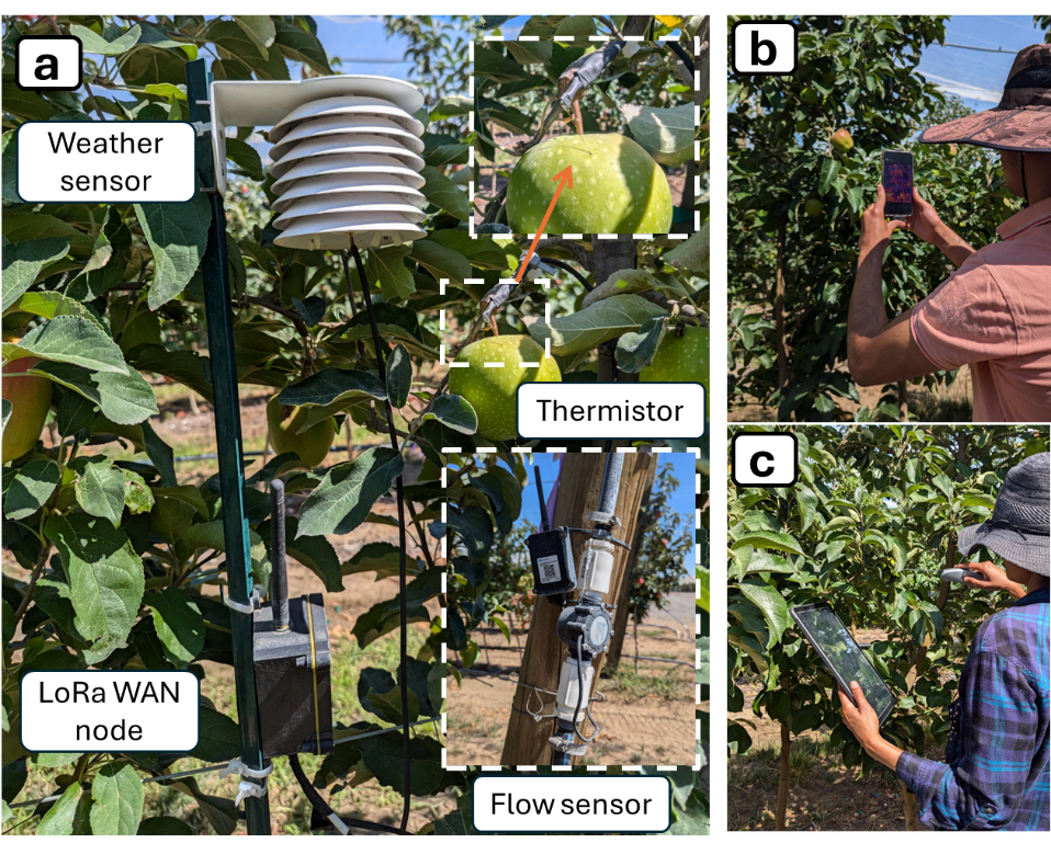 Fogging, Fognet (Fogging Under Netting) To Mitigate Heat Stress (Season ...