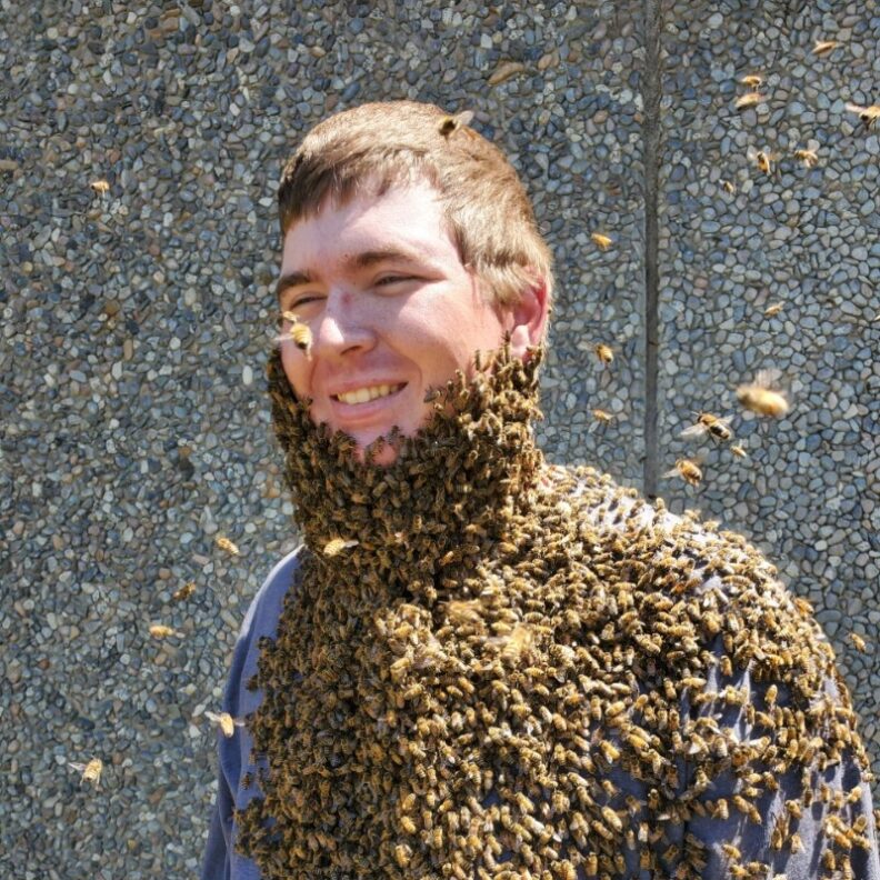 Solicite una charla | WSU Programa de Abejas | Washington State University