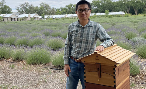 Solicite una charla | WSU Programa de Abejas | Washington State University