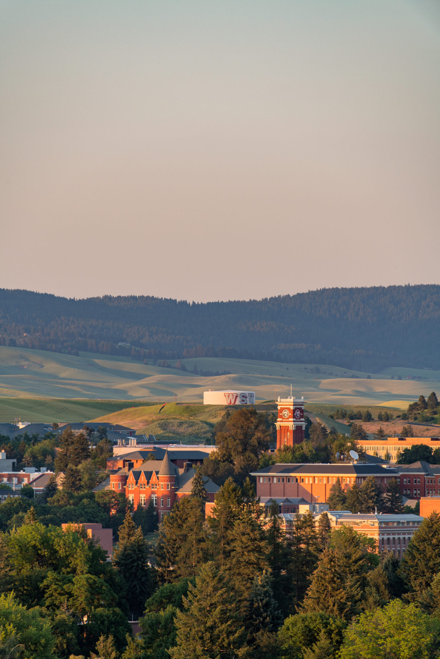 Convocation week | College of Agricultural, Human, and Natural Resource ...