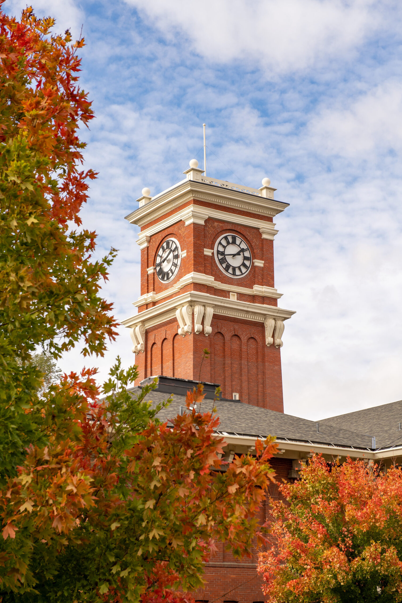 CAHNRS Quarterly | College of Agricultural, Human, and Natural Resource ...