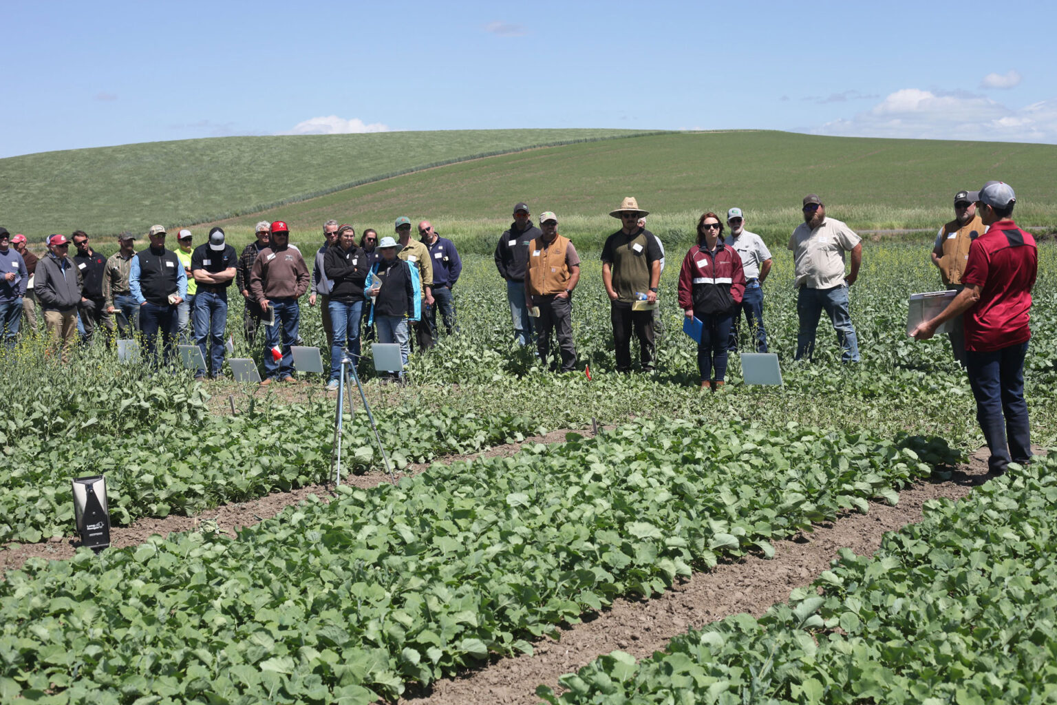 Setting CAHNRS apart | College of Agricultural, Human, and Natural ...