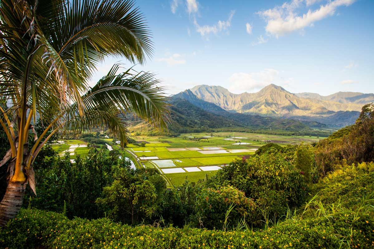 Aloha | College of Agricultural, Human, and Natural Resource Sciences ...