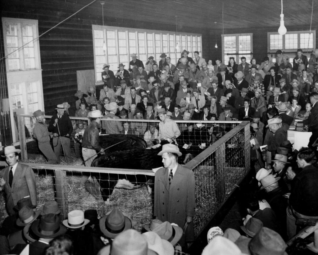 Ensminger Pavilion | College of Agricultural, Human, and Natural ...