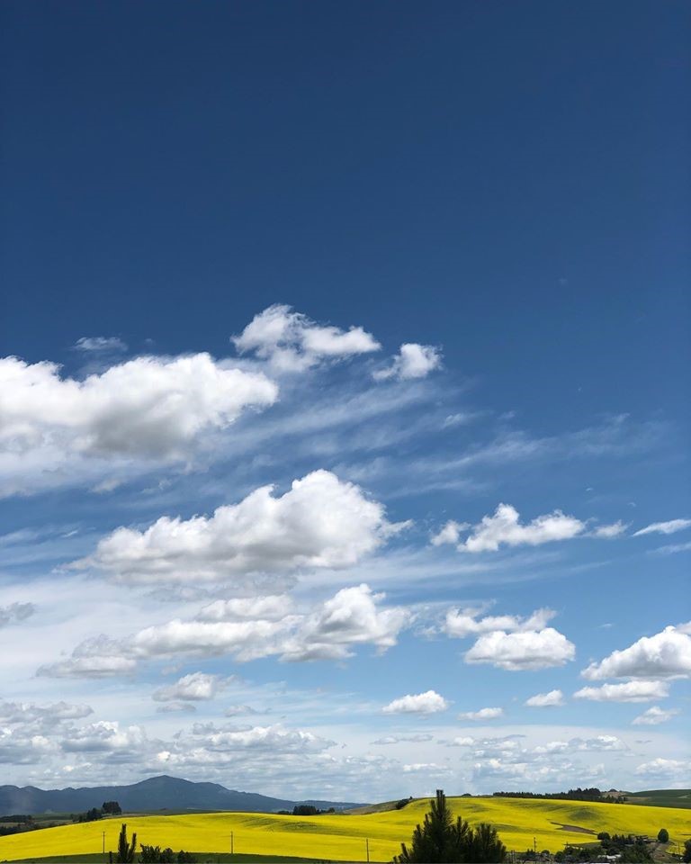 Faculty & Staff | Department of Art | Washington State University